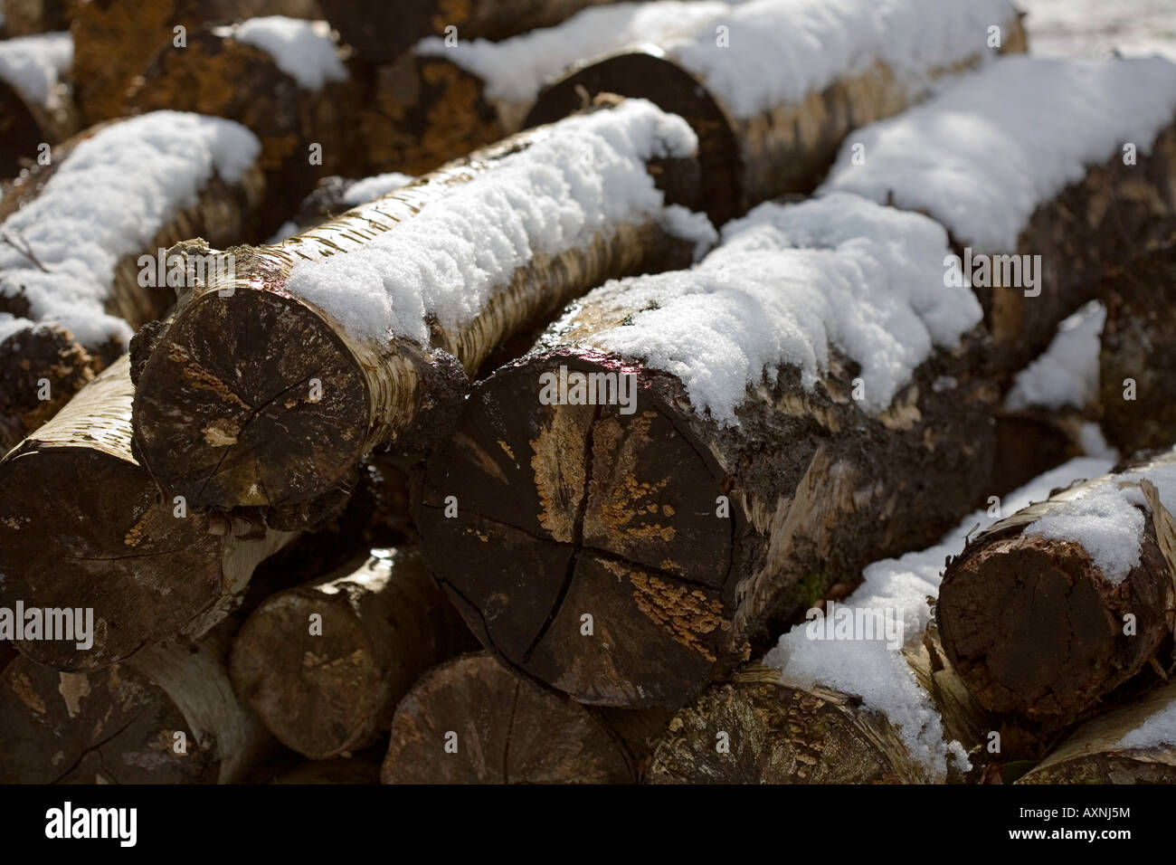 Logs Piles Garden High Resolution Stock Photography and Images - Alamy