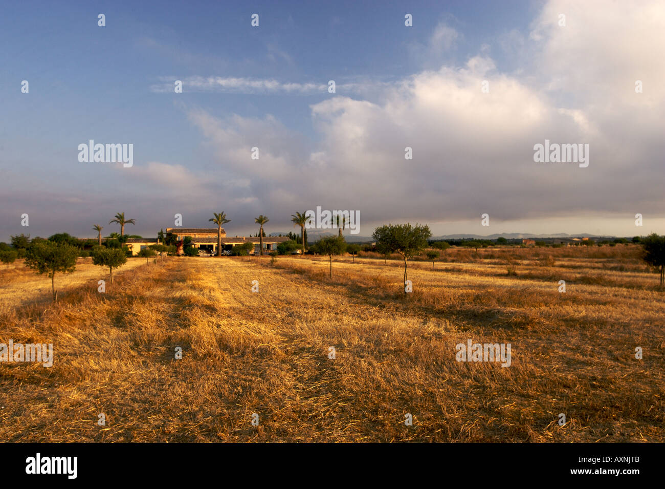 A luxury rural hotel in Majorca Stock Photo - Alamy