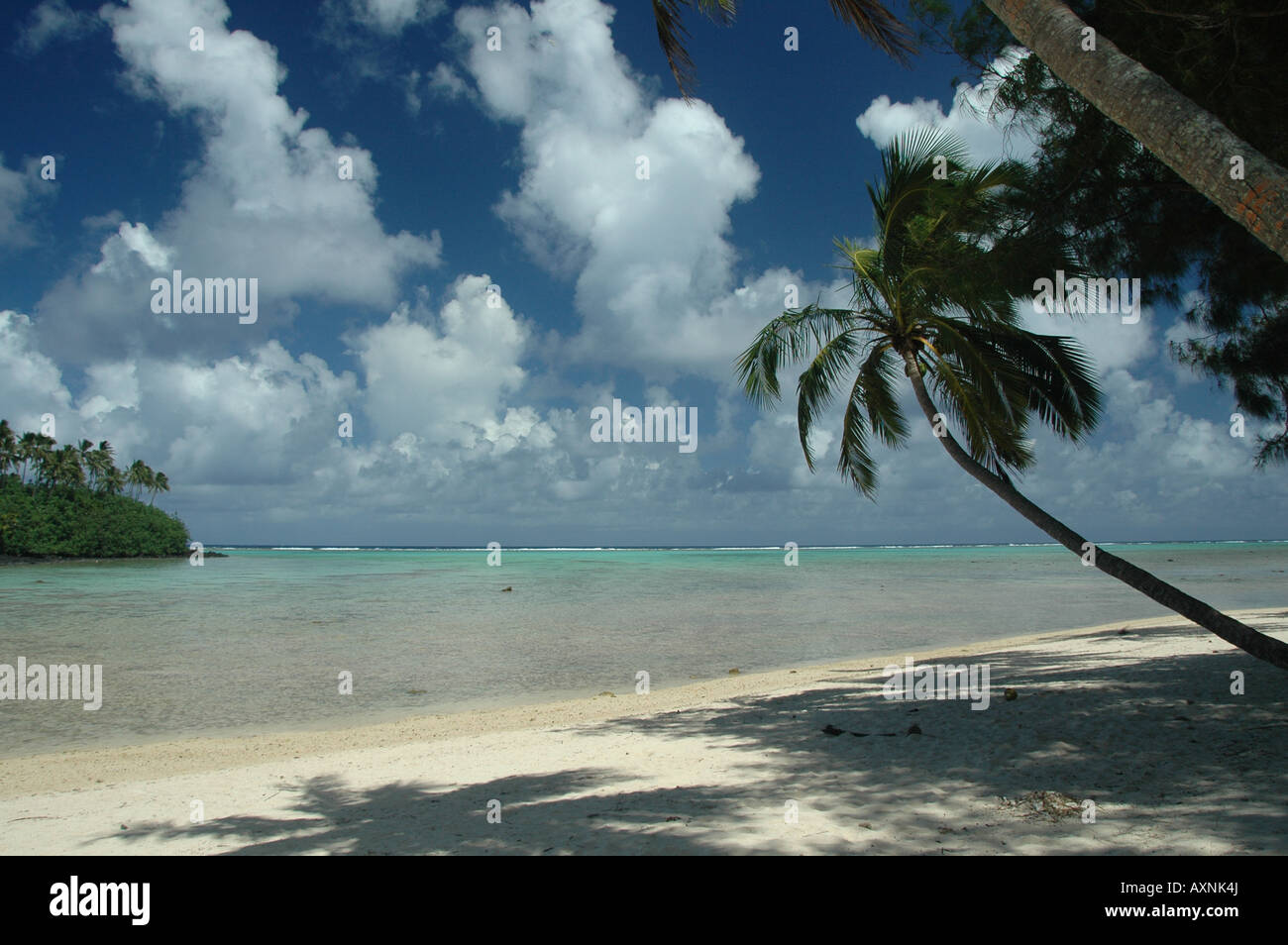 The palm fringes beaches and calm lagoon on the Cook Islands Stock ...