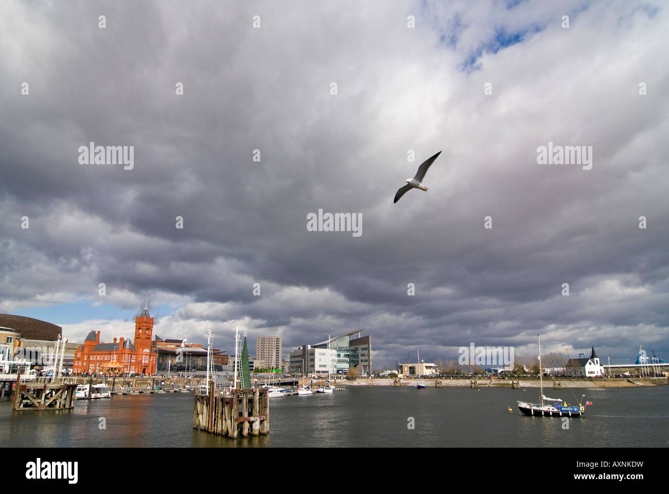 Cardiff dock heritage hi-res stock photography and images - Alamy