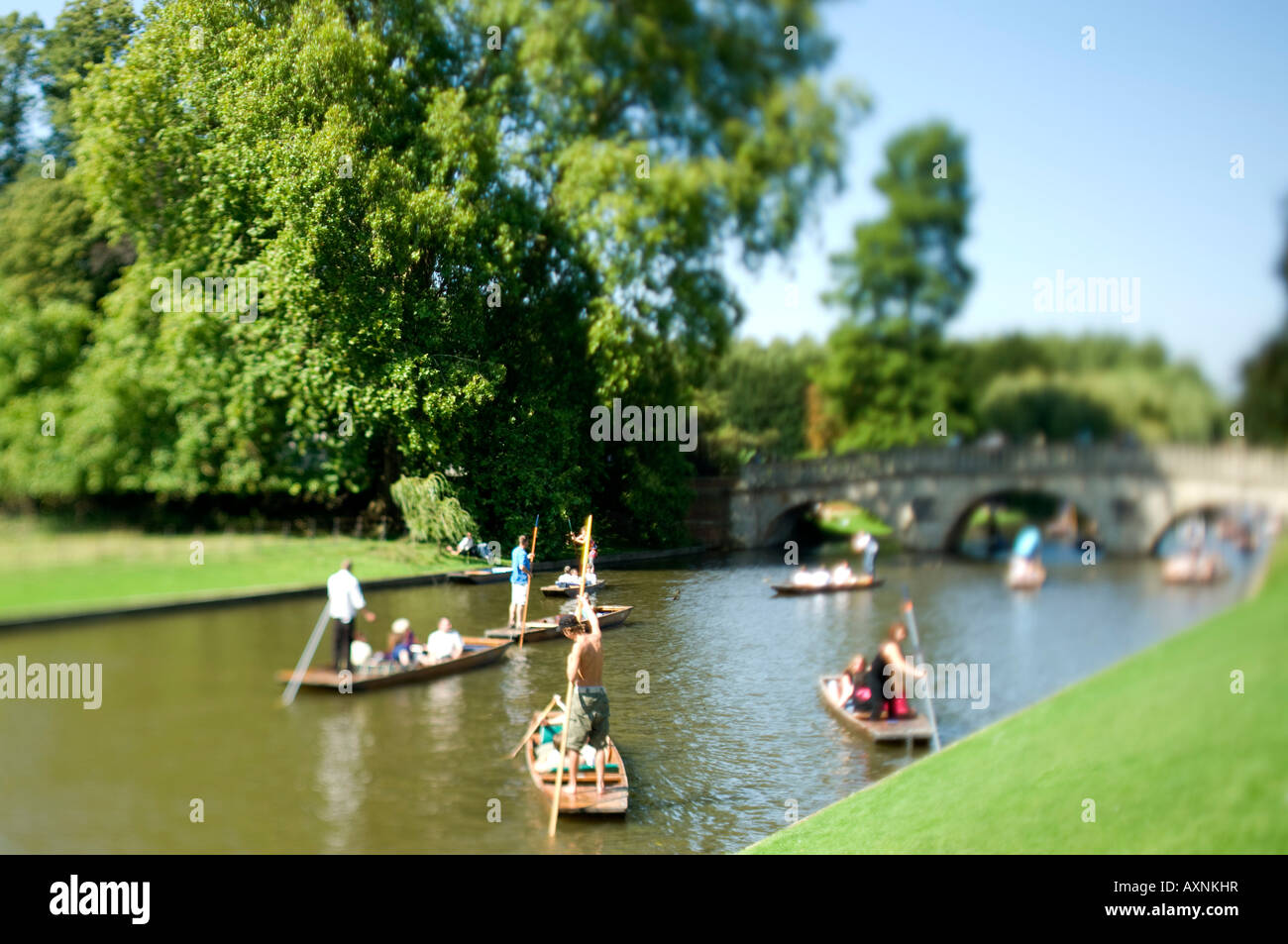 punting punts river cam cambridge england summer summertime tilt and ...