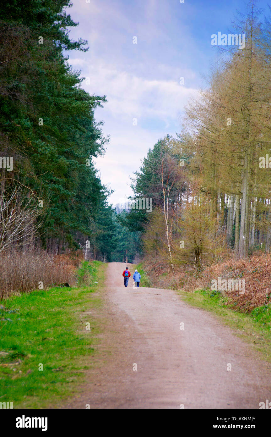 A couple walking along a lane through a forest Stock Photo - Alamy