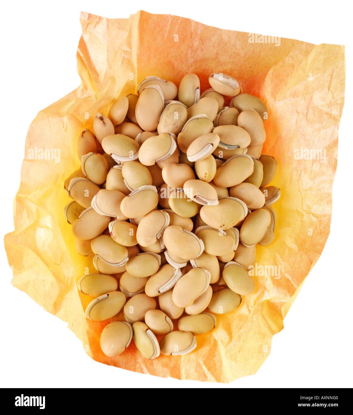 VALL BEANS CUT OUT Stock Photo - Alamy