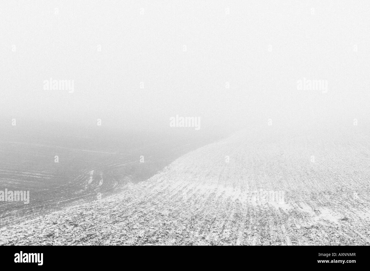 Field in fog showing a transitition Stock Photo - Alamy