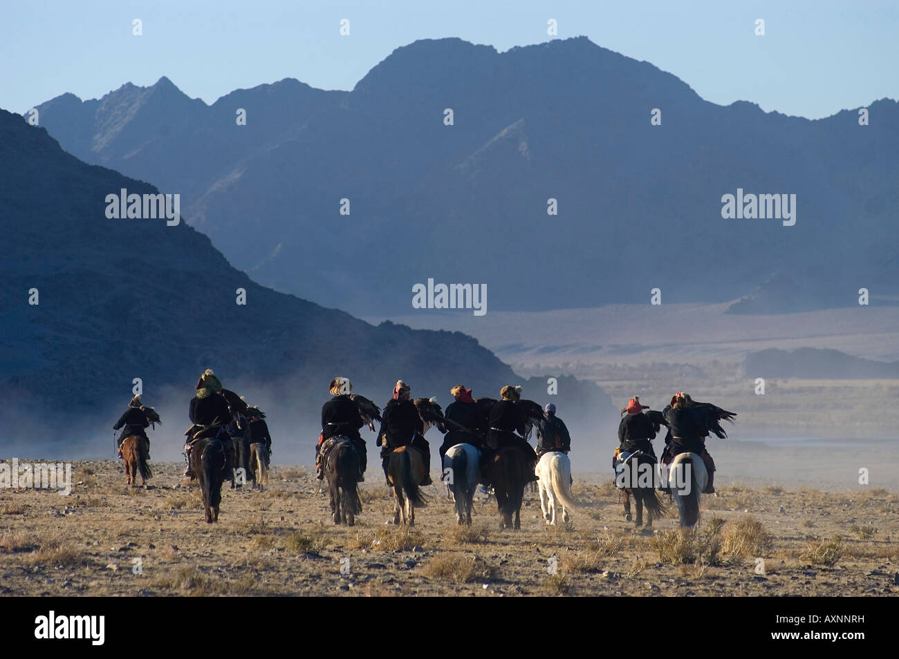 Mongolia eagle hi-res stock photography and images - Alamy