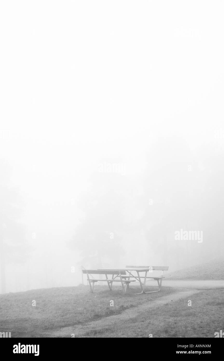 Fog fine art hi-res stock photography and images - Alamy