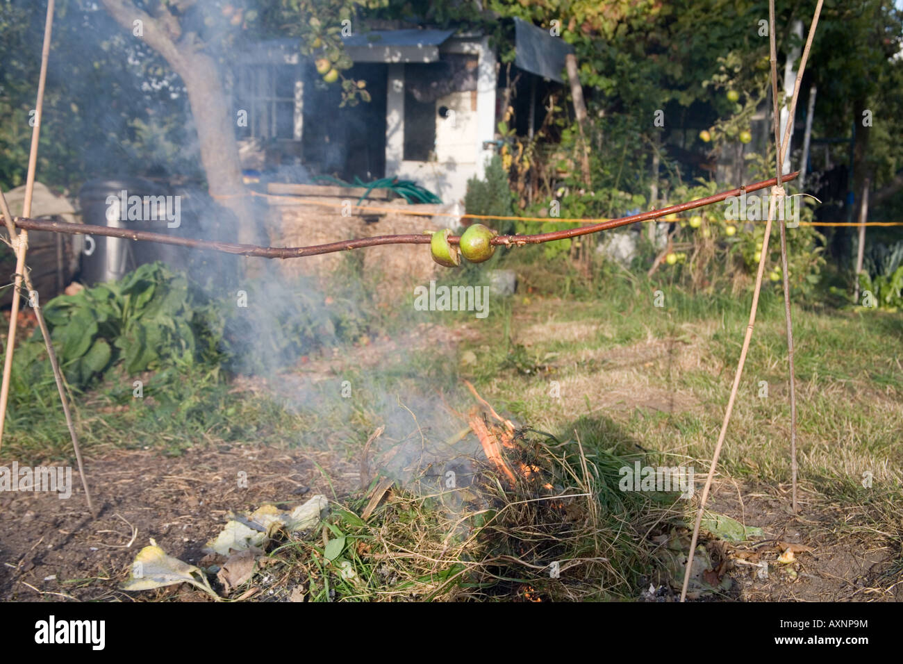 Apples cooking on barbecue fire Stock Photo - Alamy