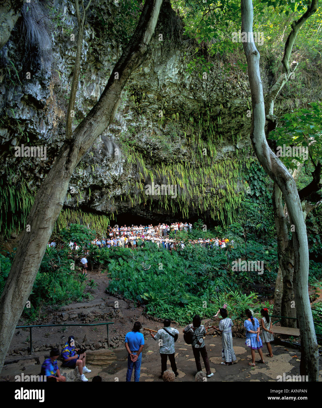 Fern Grotto Wailua River Kauai Hawaii USA Stock Photo - Alamy