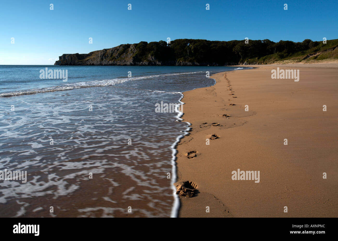 Beach Barafundle Bay Pembrokeshire West Wales Stock Photo - Alamy
