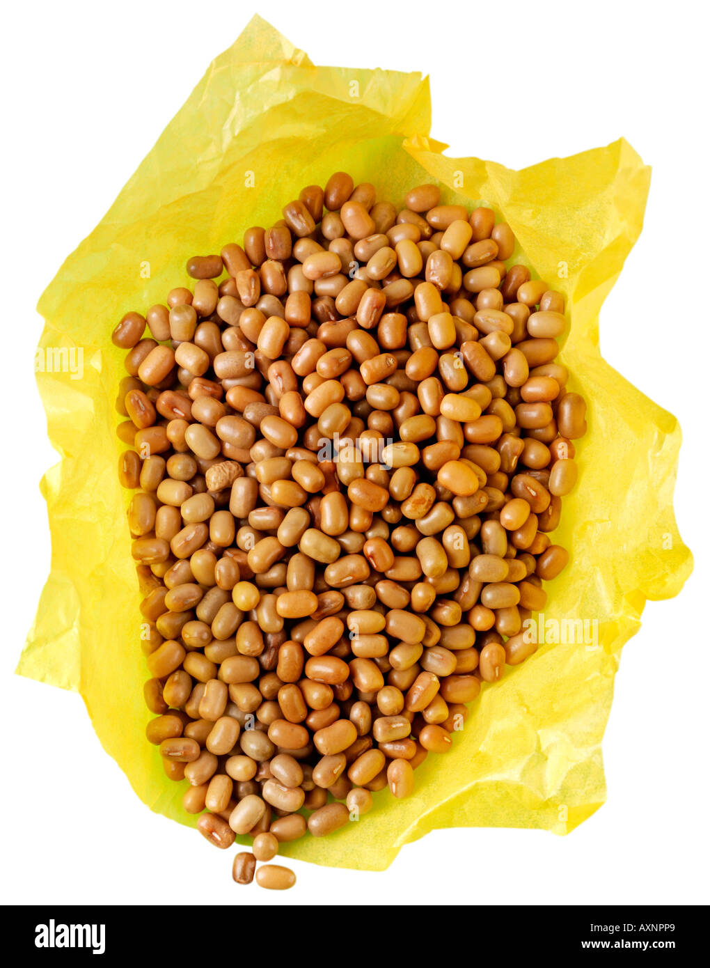 Muth beans hi-res stock photography and images - Alamy