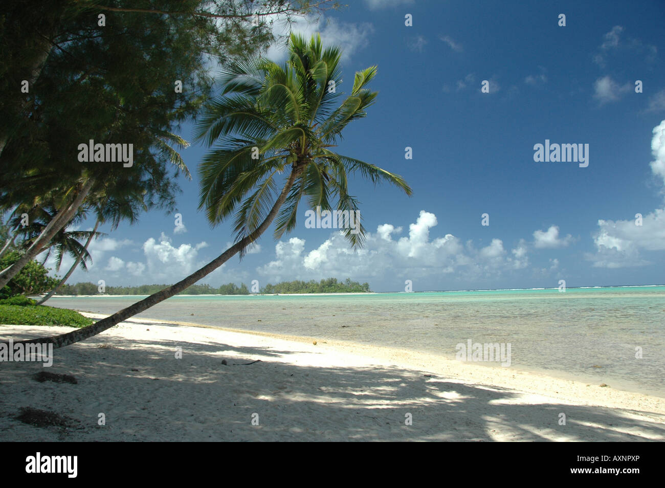Picture postcard cook islands hi-res stock photography and images - Alamy