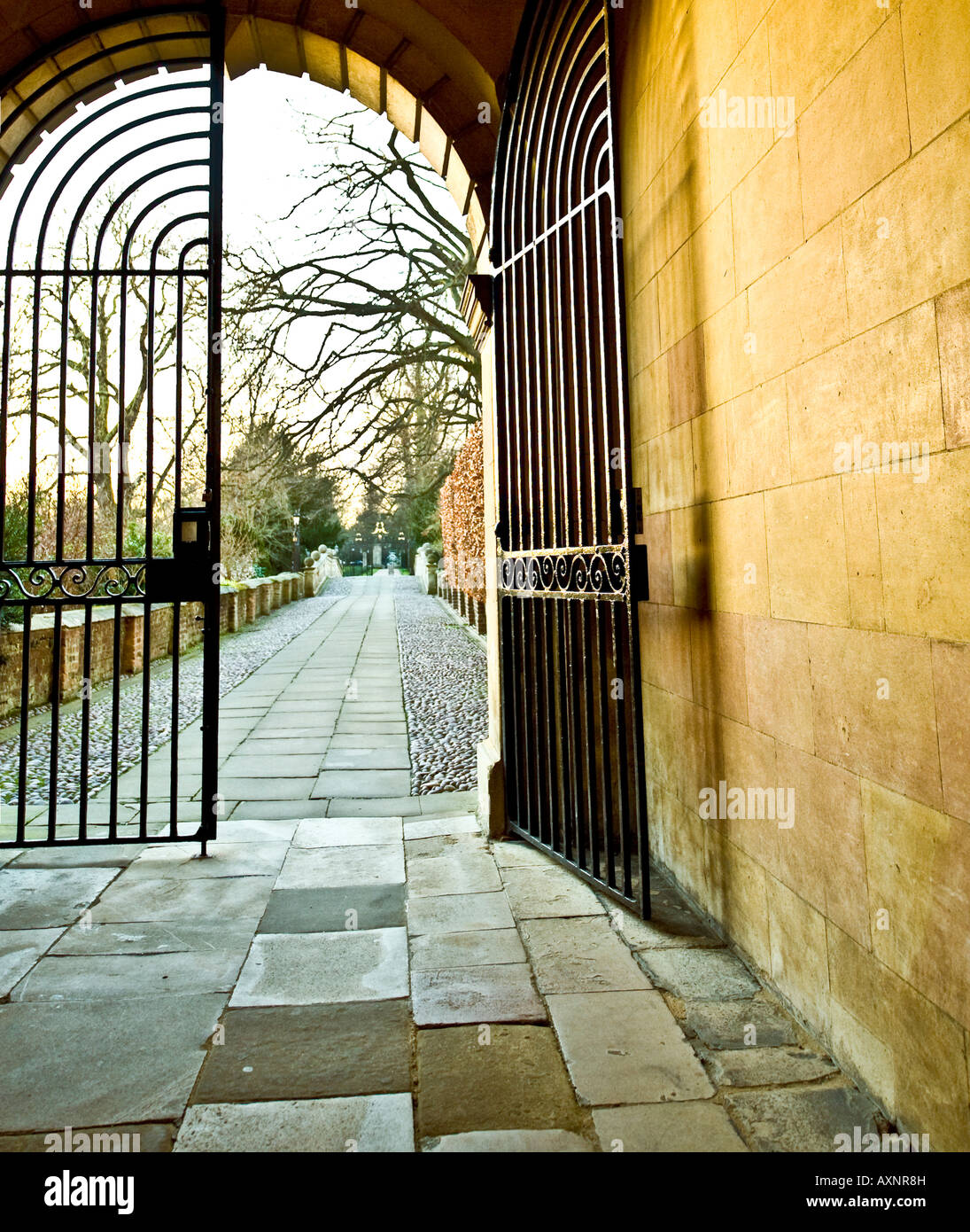 cambridge college architecture building university pillars door windows ...