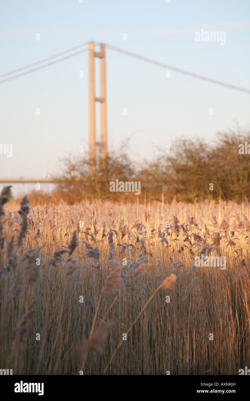 Humber bridge in hull hi-res stock photography and images - Alamy