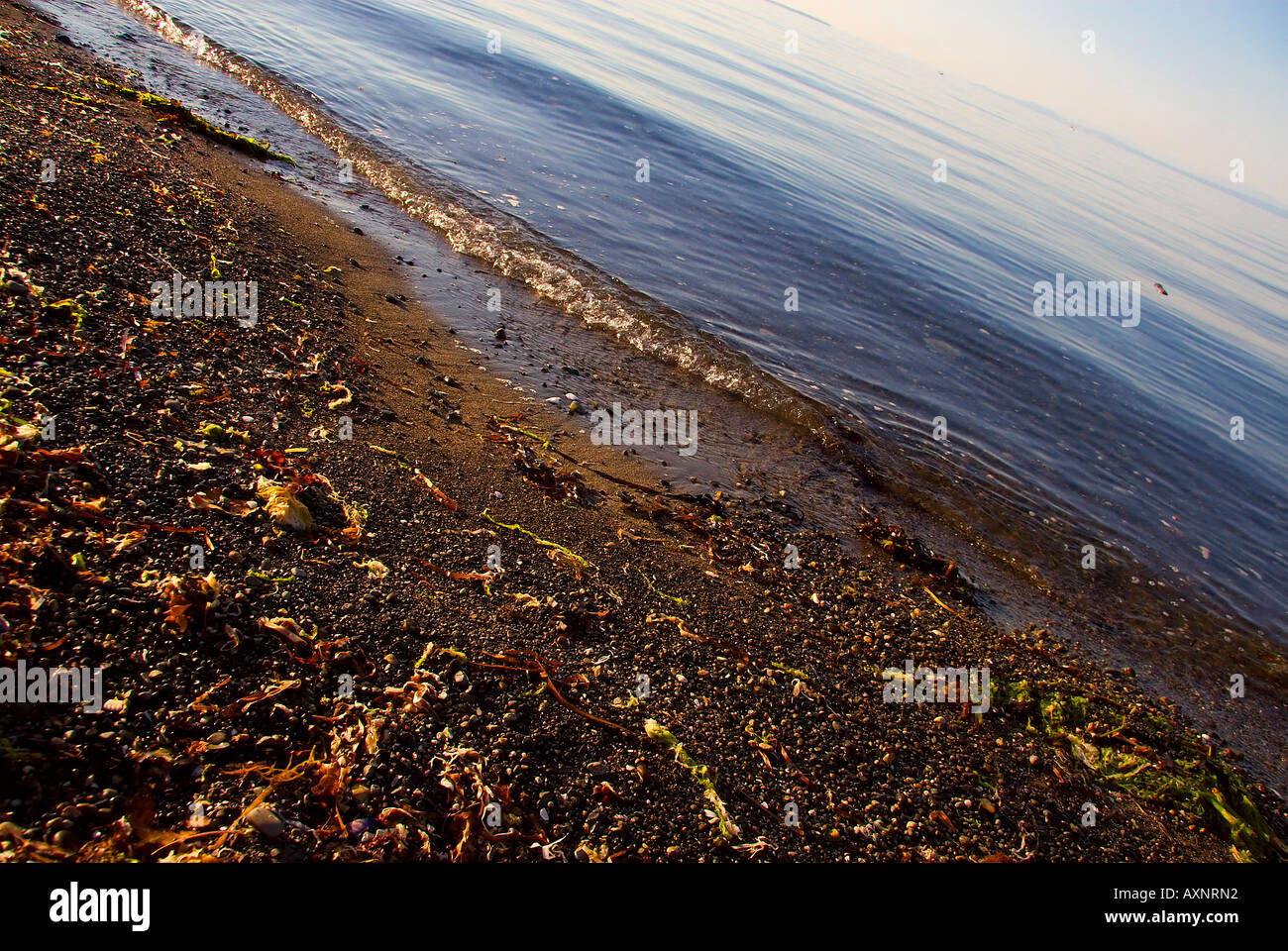 Ron Hayes West Coast Scenery Beach Scenes Stock Photo - Alamy