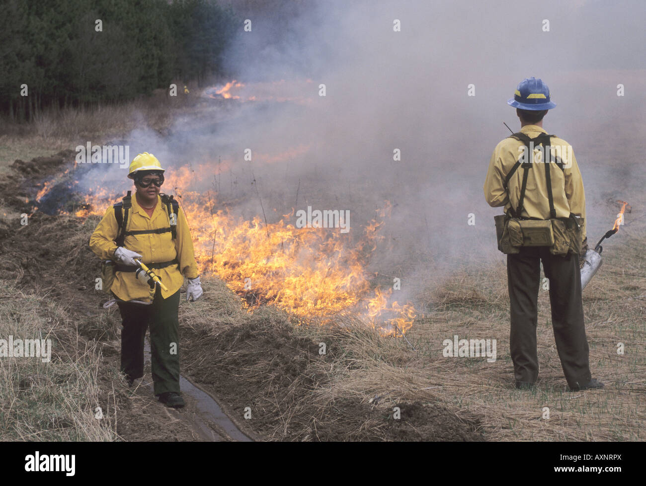 Fire fighters use drip torches to set backfire along a fireline Stock ...