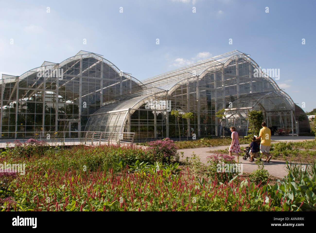 The Glasshouse RHS Wisley Gardens Surrey GB UK Stock Photo - Alamy