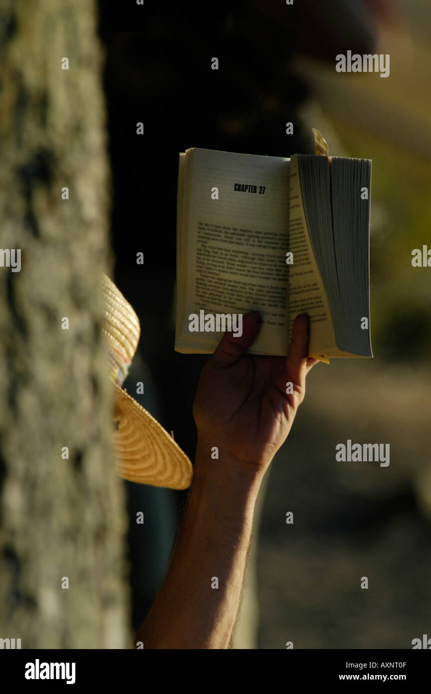 Reader reading book worm hi-res stock photography and images - Alamy