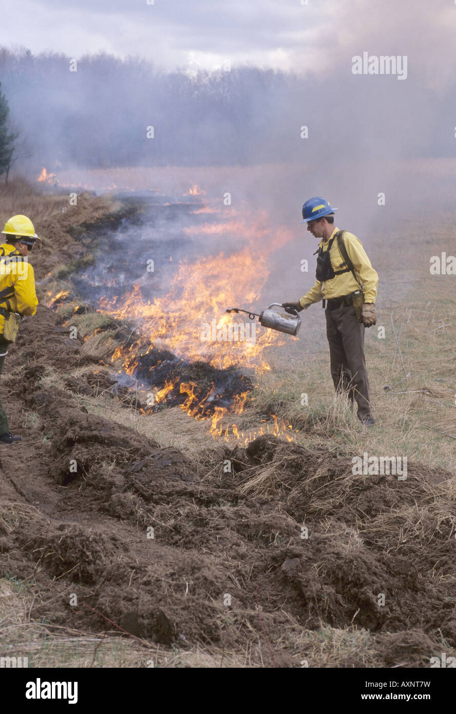 Fire fighters use drip torches to set backfire along a fireline Stock ...