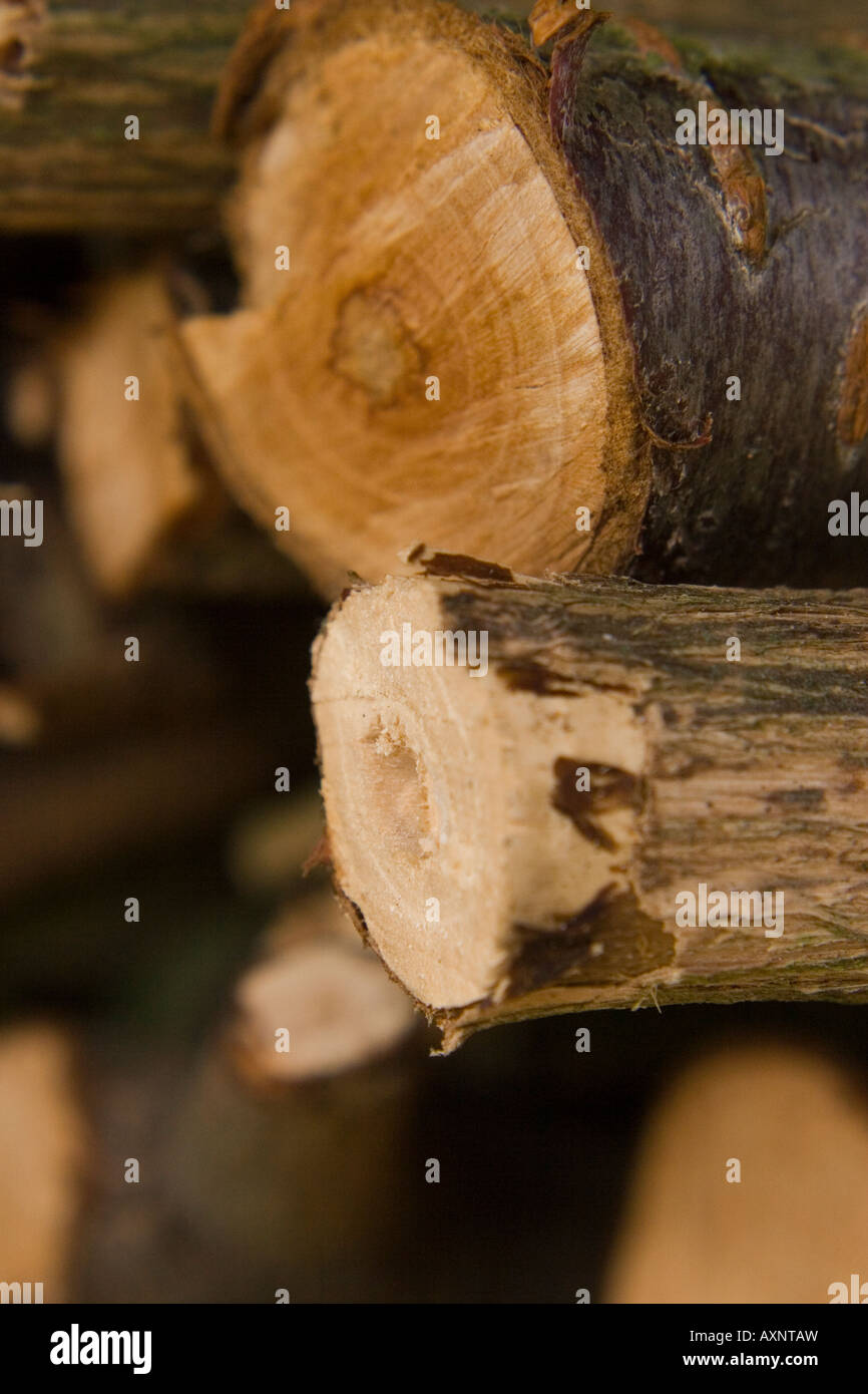 Pieces of wood Stock Photo - Alamy