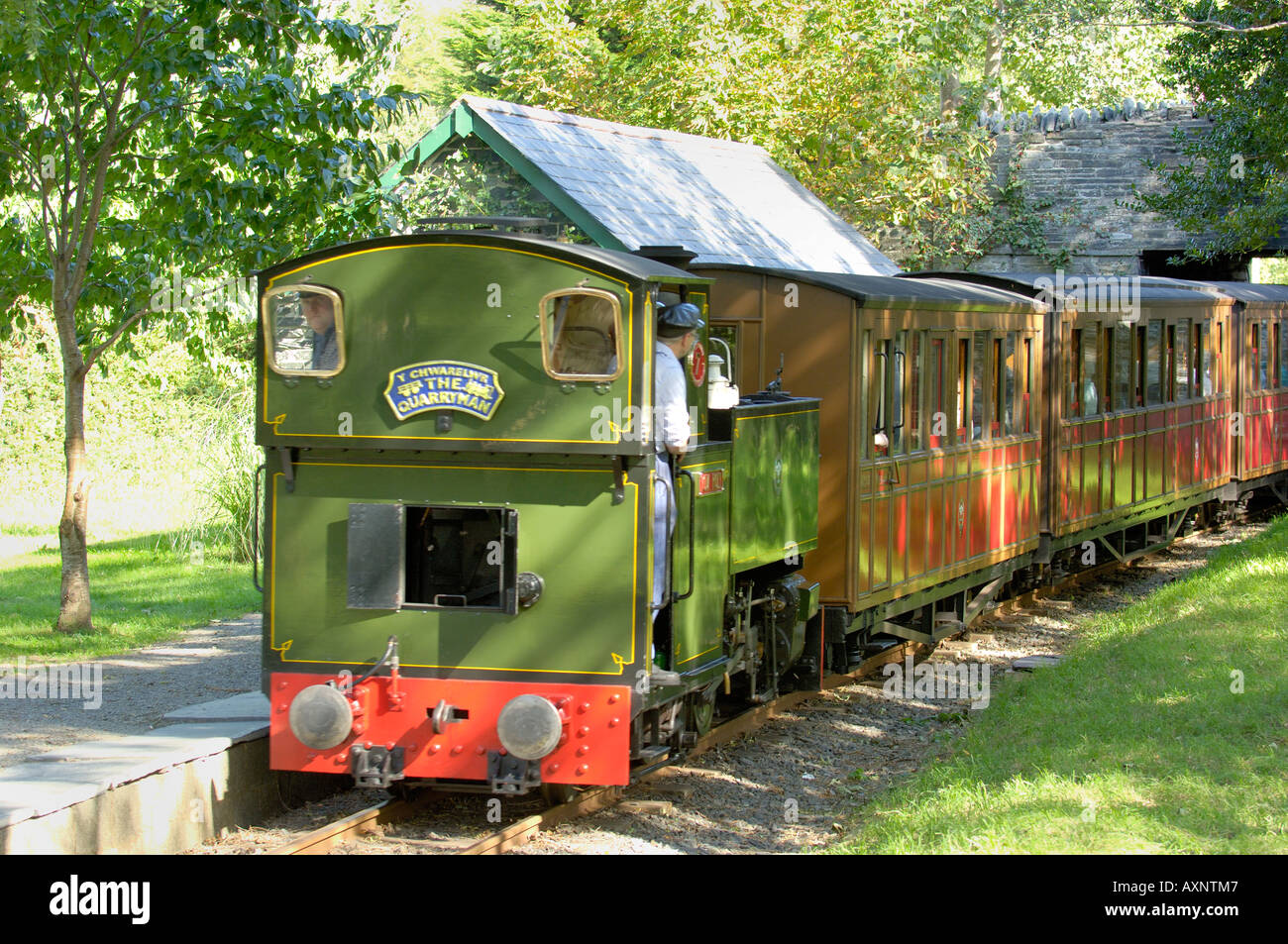 Steam Train arriving at Rhydyronen Station Tal y llyn Railway North ...