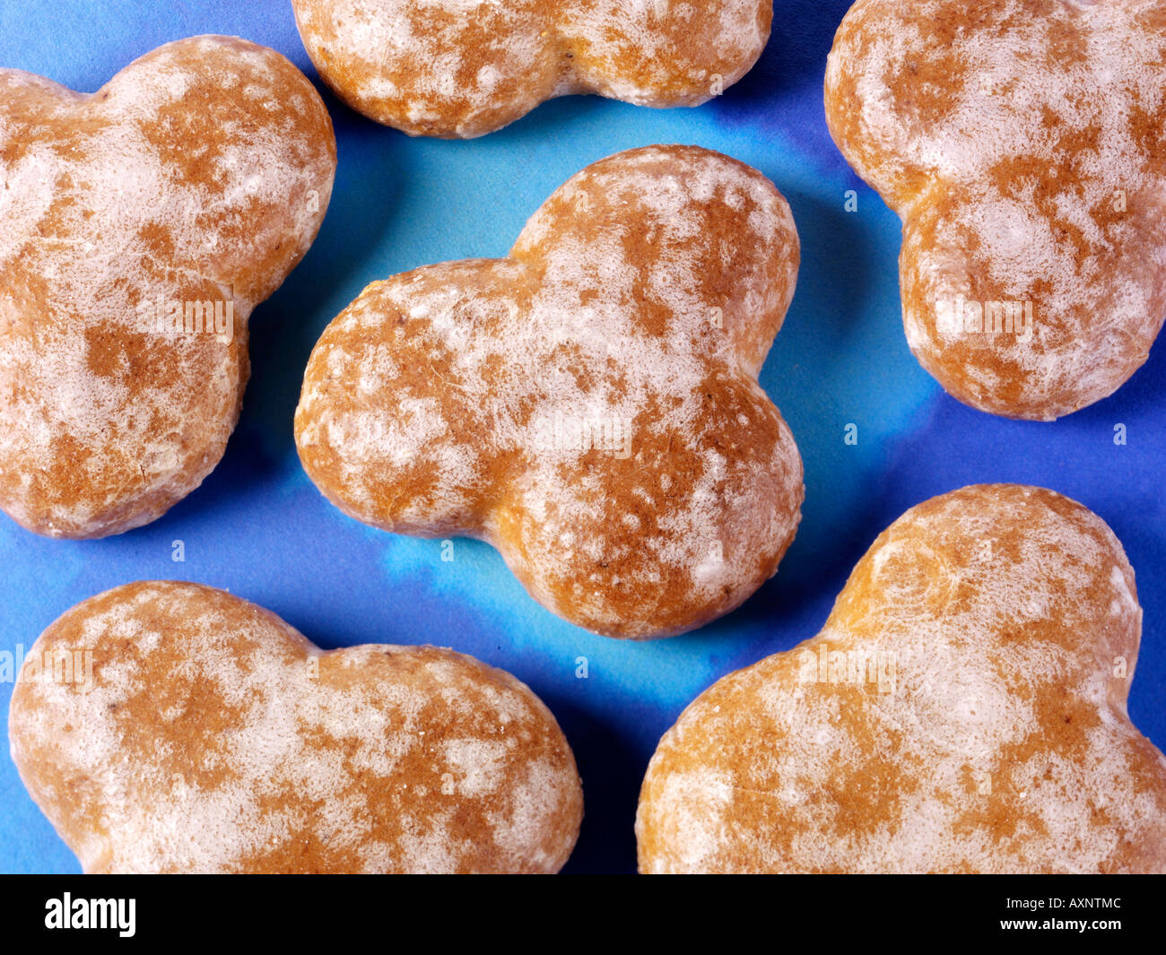 POLISH GINGER BISCUITS / PIERNIKI ISZATKI Stock Photo - Alamy