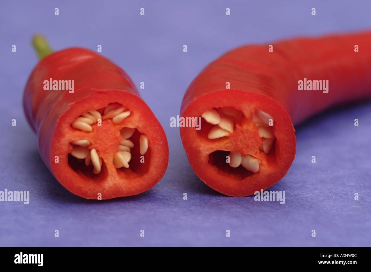 Red chilli pepper Stock Photo - Alamy