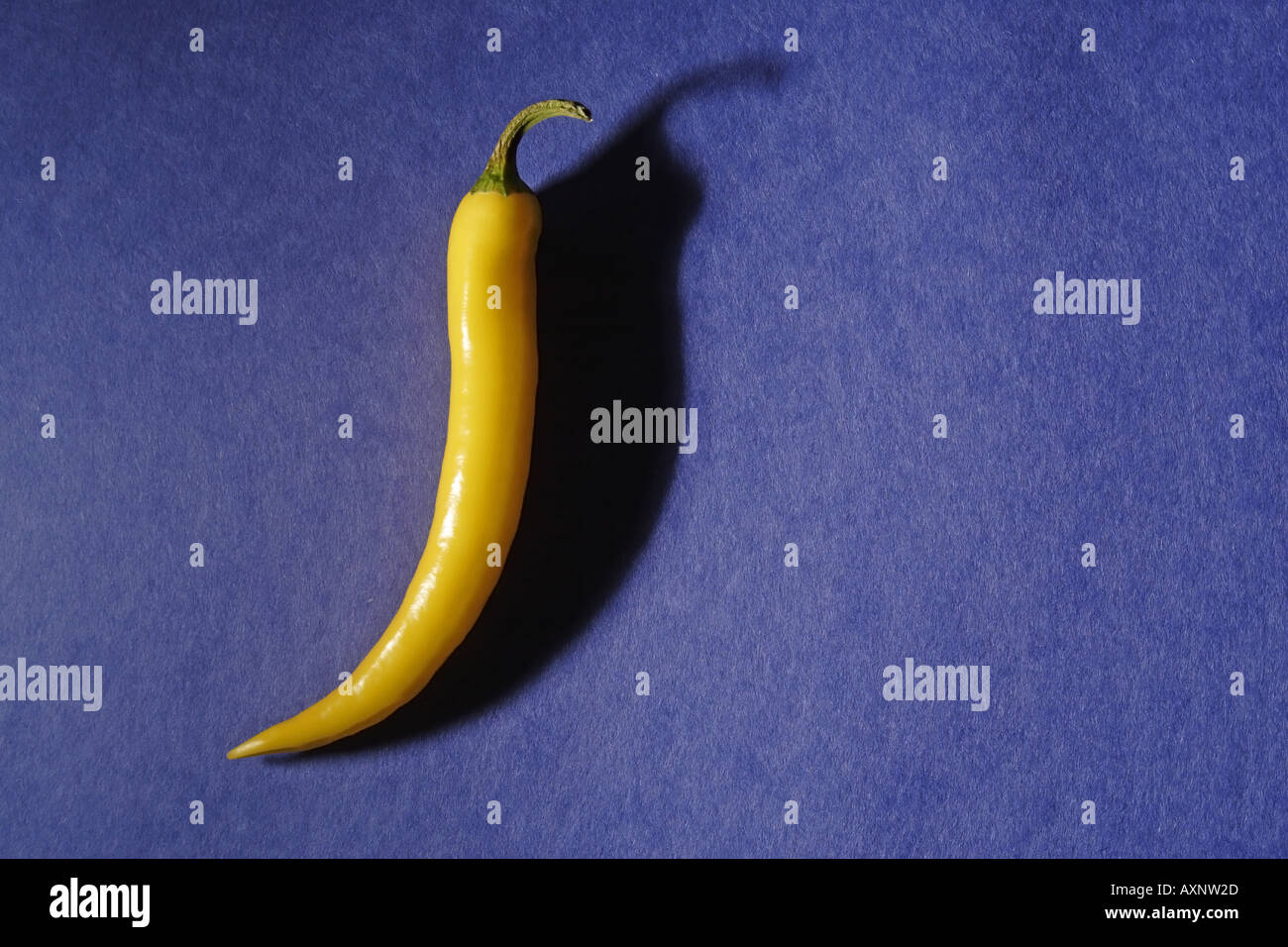 Yellow chilli pepper close Cut Out Stock Images & Pictures - Alamy