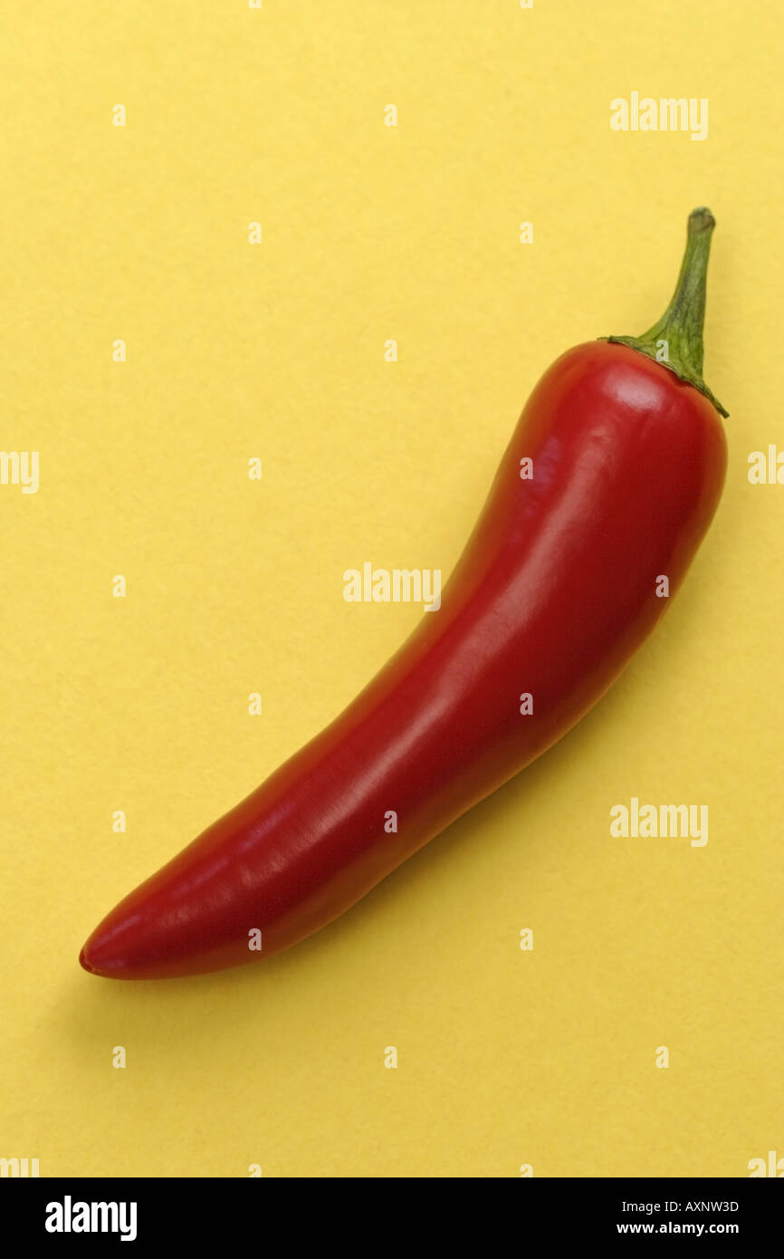 Red chilli pepper Stock Photo - Alamy