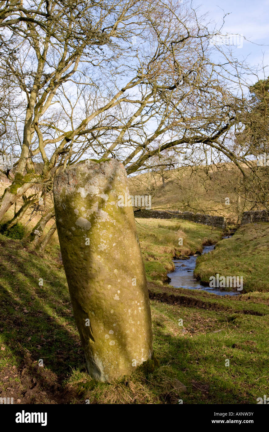 Roman milestone at Chesterholm Northumberland UK Stock Photo - Alamy