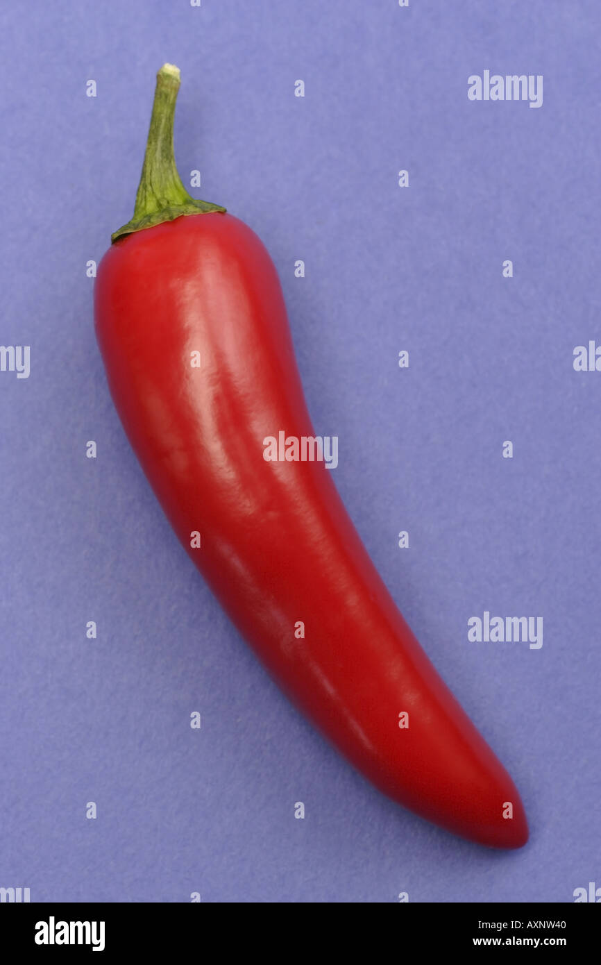 Red chilli pepper Stock Photo - Alamy