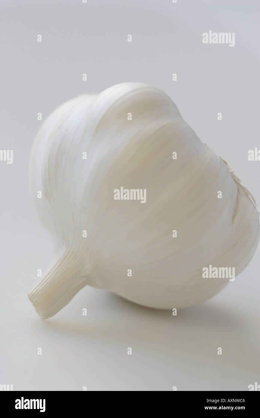 Italian garlic Cut Out Stock Images & Pictures - Alamy