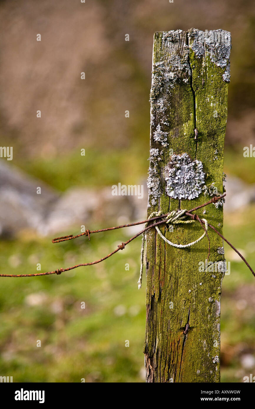 Rotting Post and Rusty Barbed Wire Stock Photo - Alamy