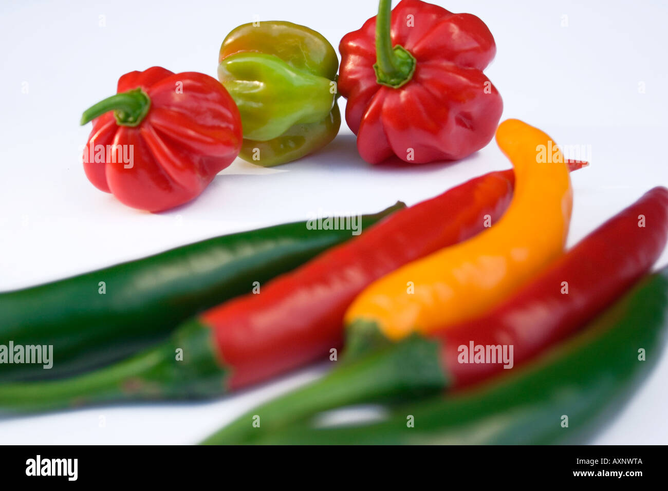 Chilli fiesta hi-res stock photography and images - Alamy