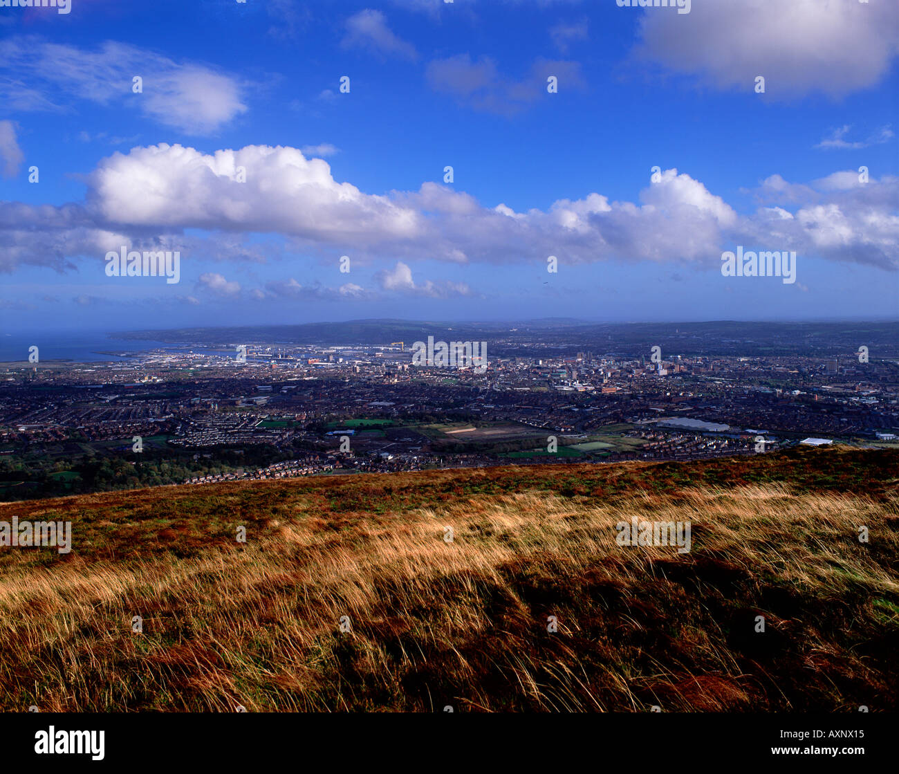 Black mountain belfast hi-res stock photography and images - Alamy