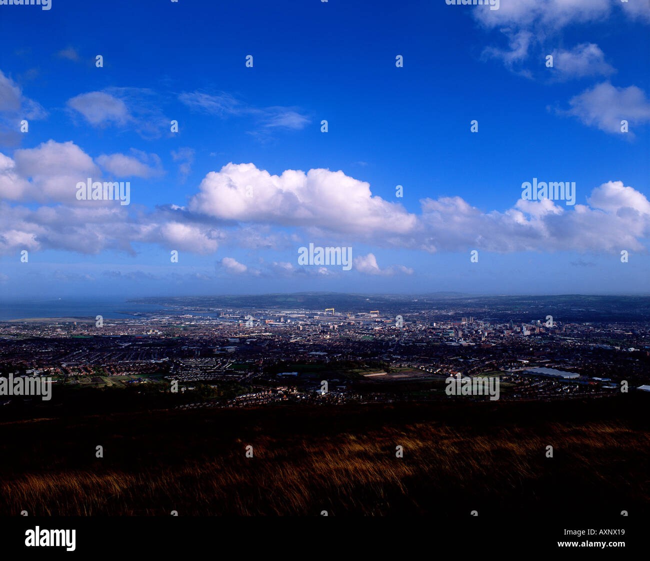Black mountain belfast hi-res stock photography and images - Alamy
