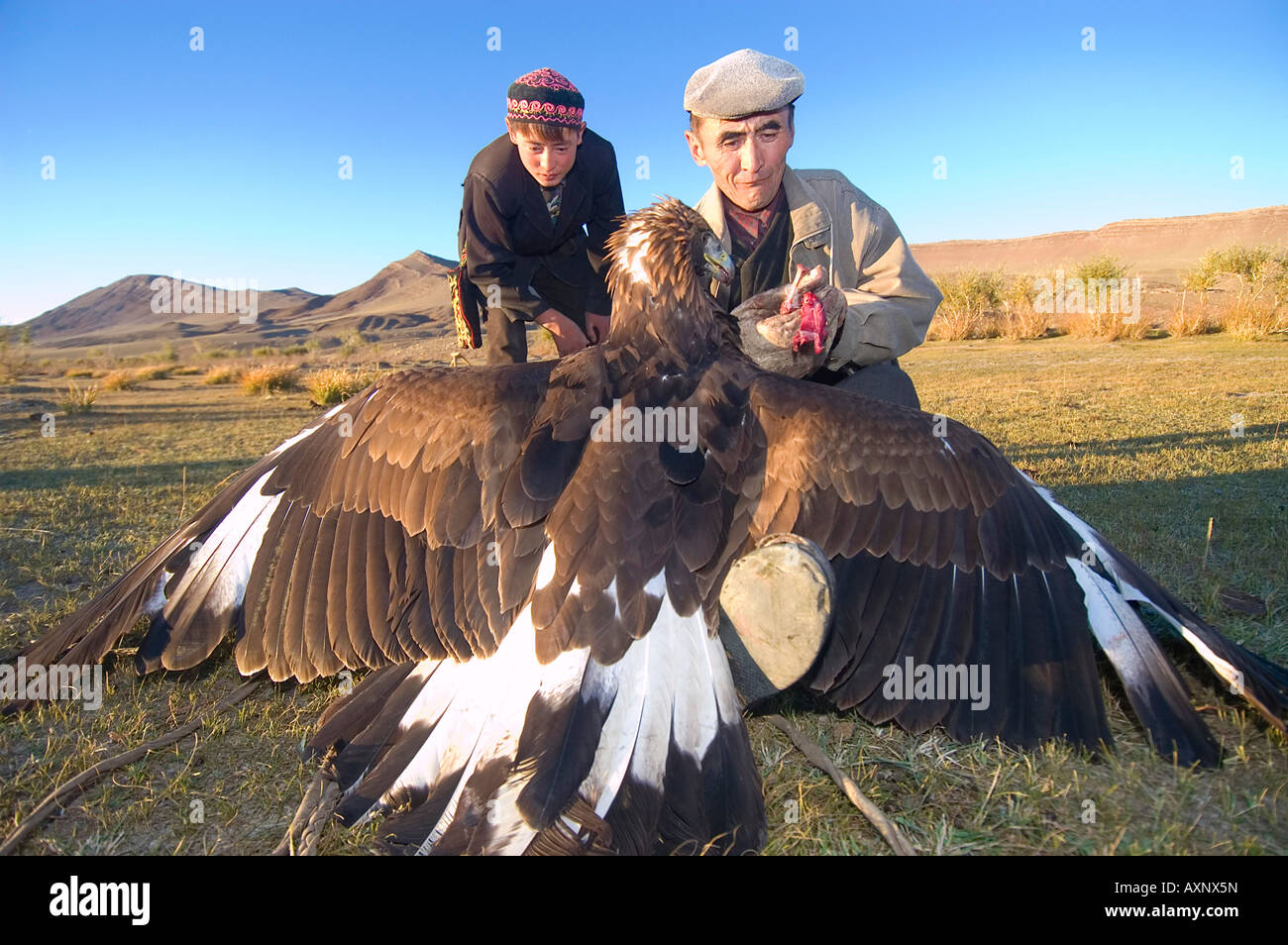 An eagle hunter trains his eagle and teaches his son the ancient Kazakh ...