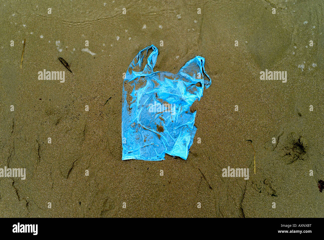 Saleen bag hi-res stock photography and images - Alamy