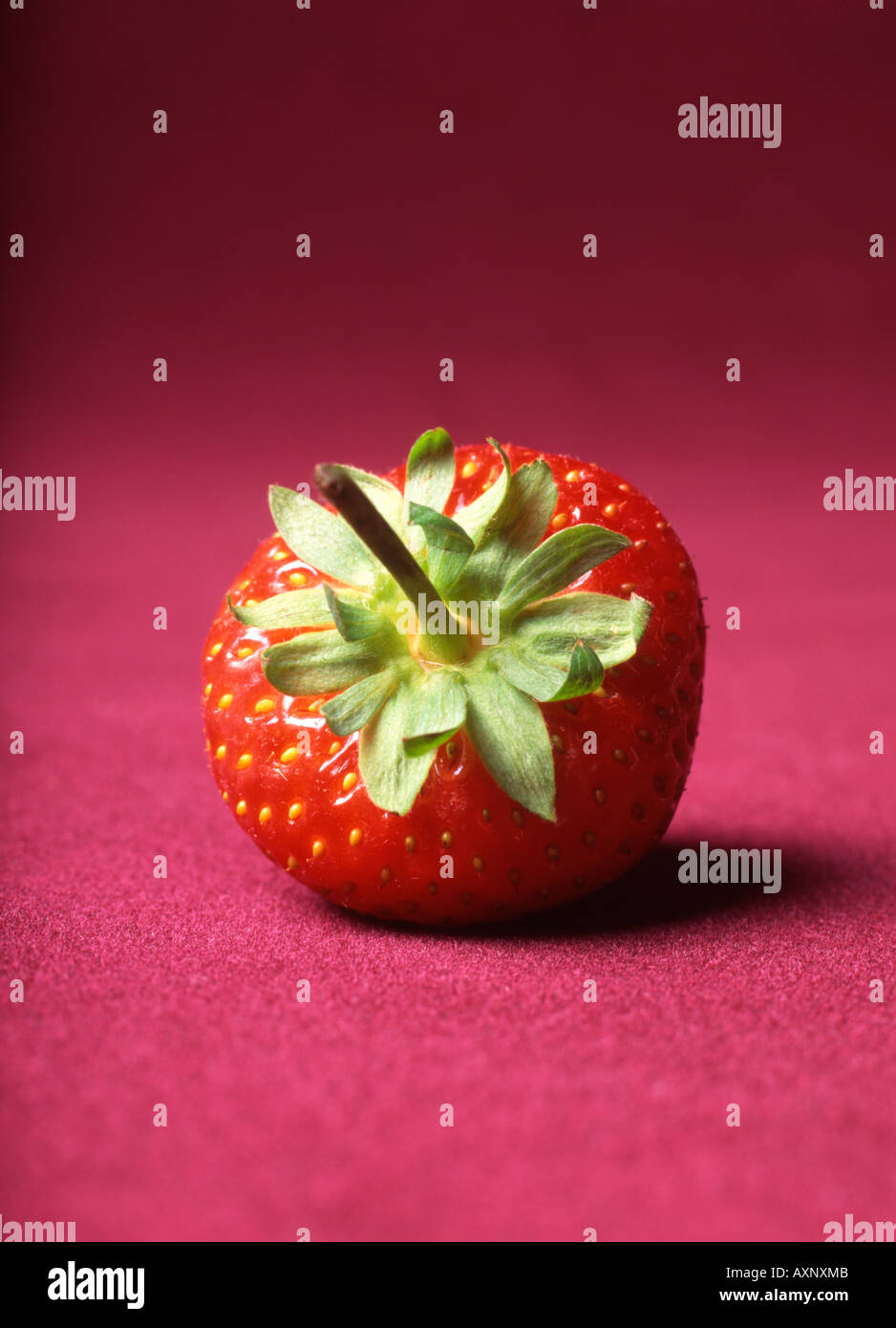 A single red stawberry Stock Photo - Alamy