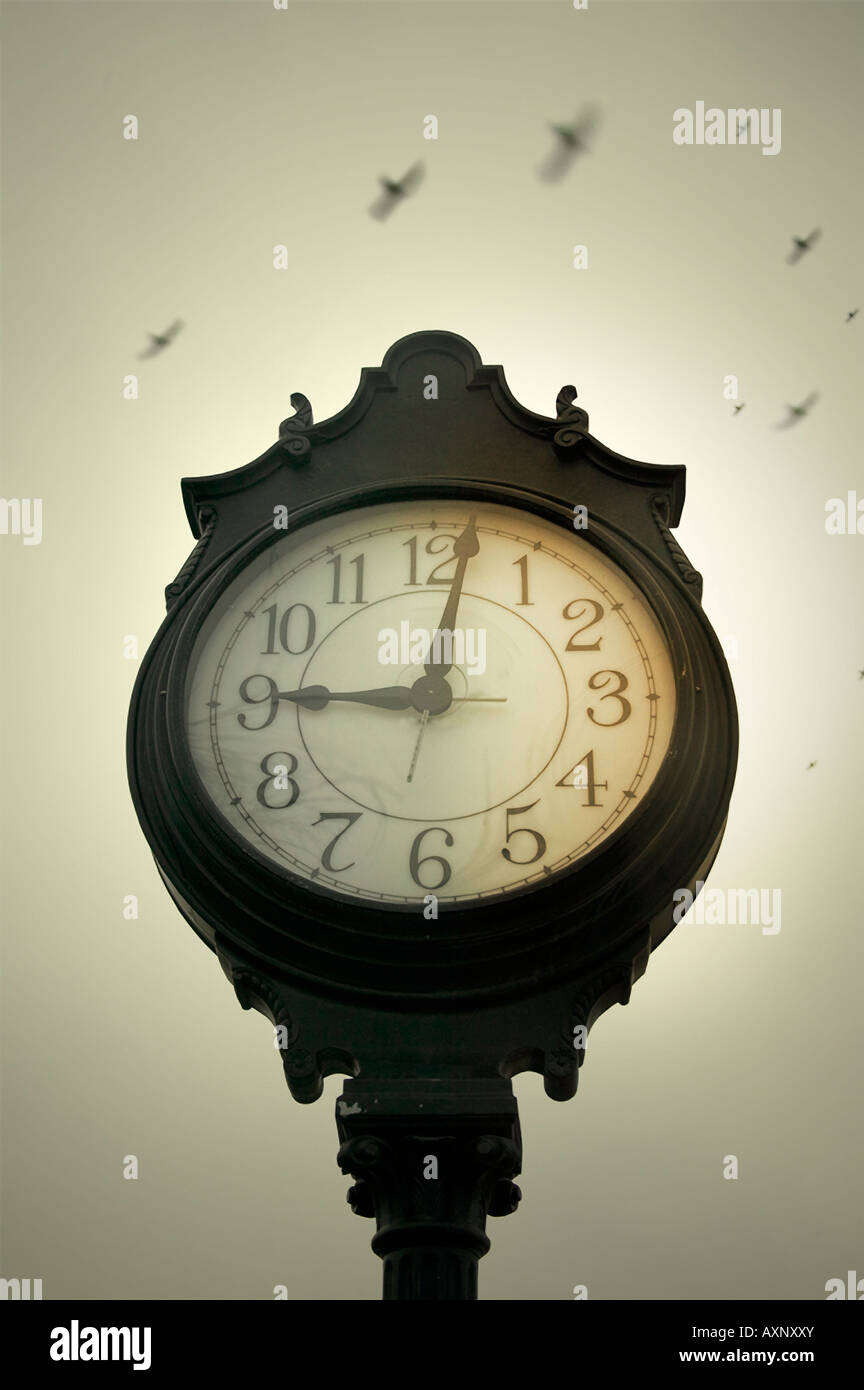 A morning view of birds flying by a clock standing in a village square ...