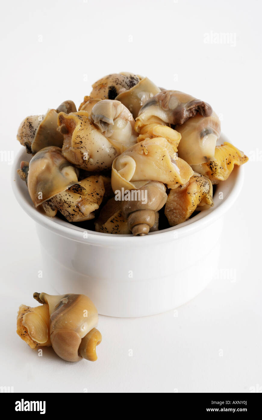 British seaside whelks hi-res stock photography and images - Alamy