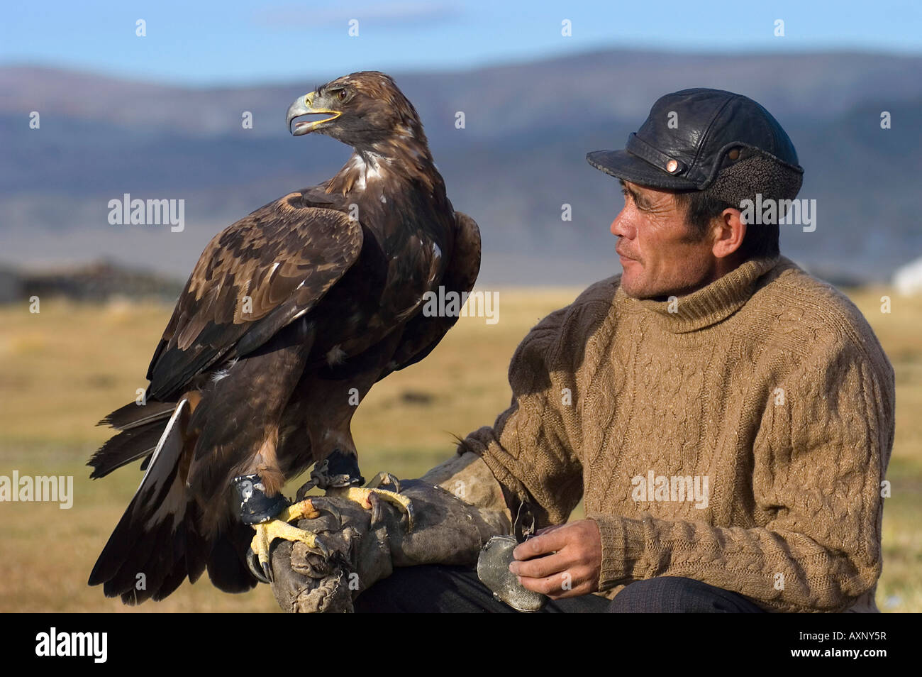 Golden eagle annual eagle hunting hi-res stock photography and images ...