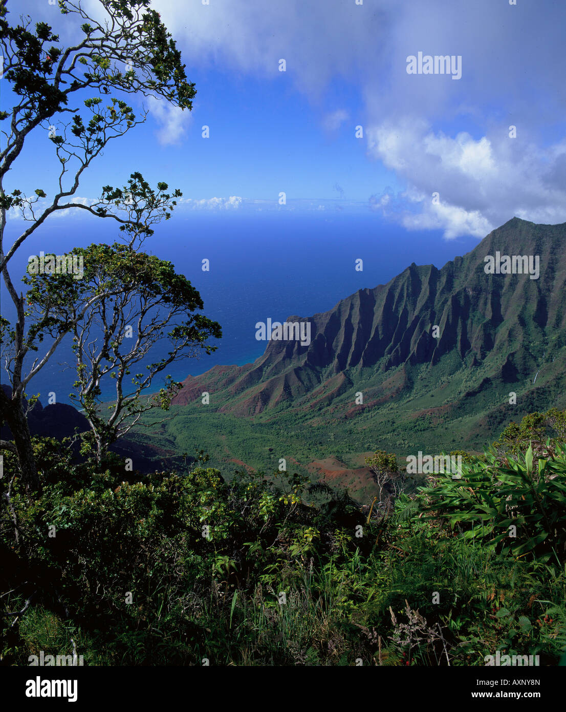 Kalalau Lookout Kokee State Park Waimea Canyon Kauai Hawaii USA Stock ...