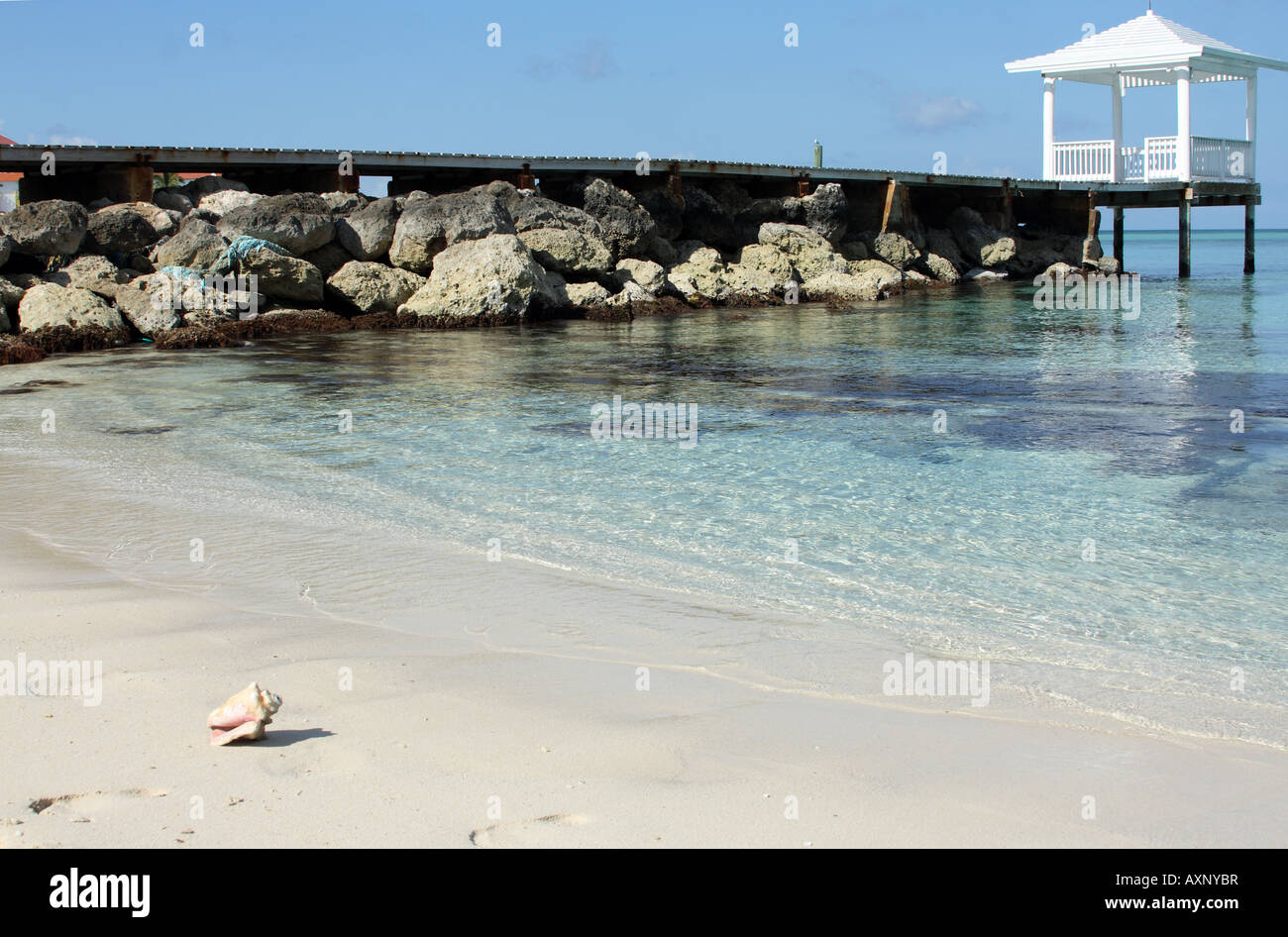 Beach scenery Bahamas Nassau with shell on the beach and pier on the ...
