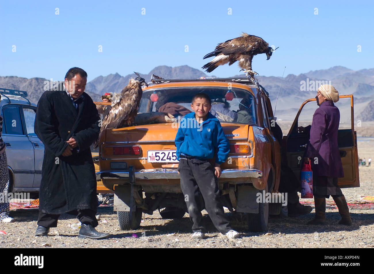 An eagle hunter prepares to demonstrate his eagle for spectators at the ...