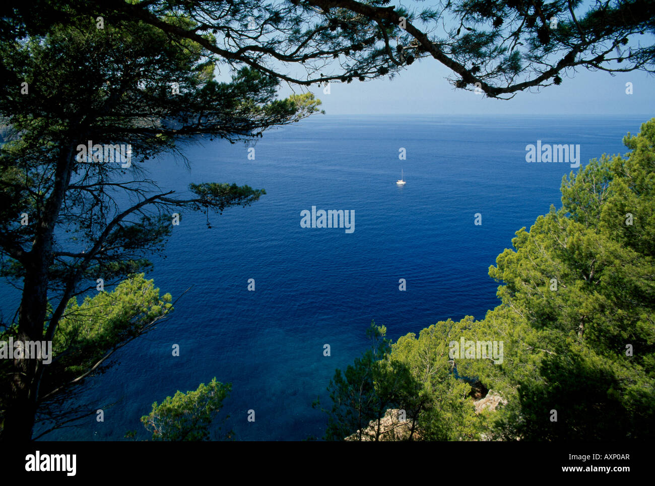 West coast,Majorca,Balearic Islands,Spain Stock Photo - Alamy