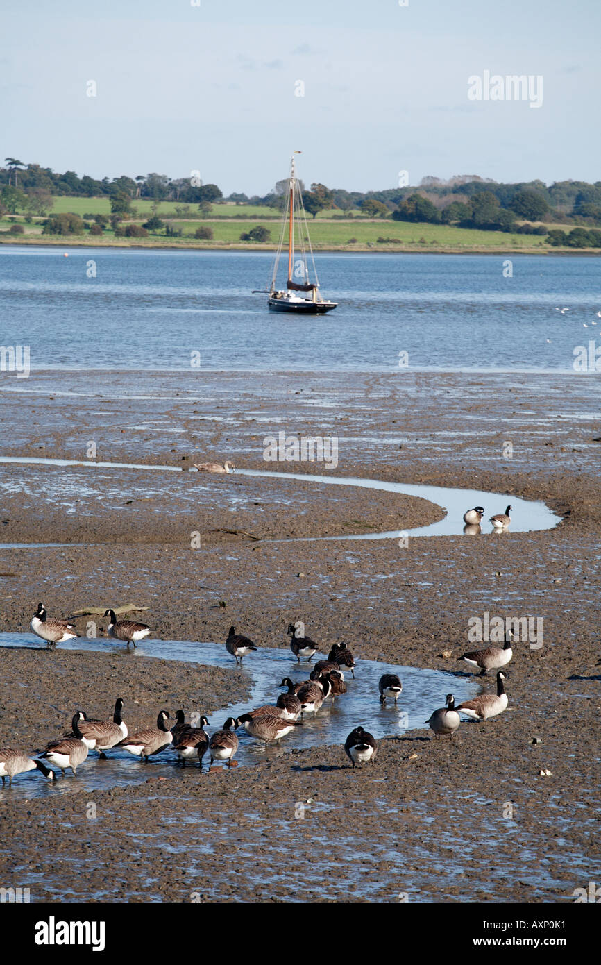 River views at Manningtree England s smallest town on the south bank of ...