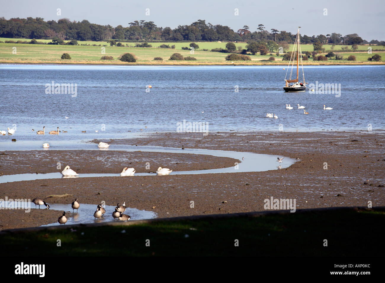 River views at Manningtree England s smallest town on the south bank of ...