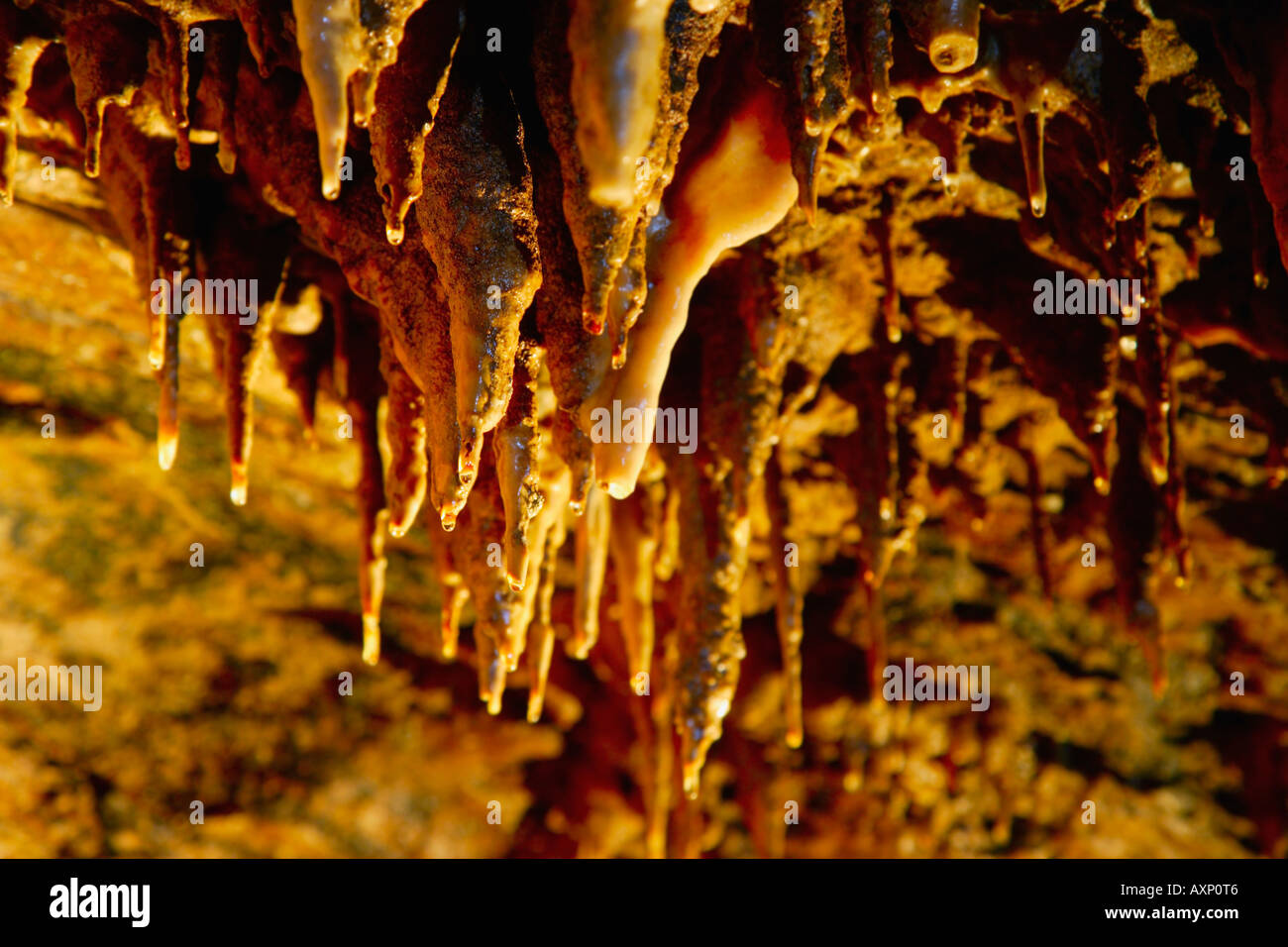 Inside of cave Stock Photo - Alamy