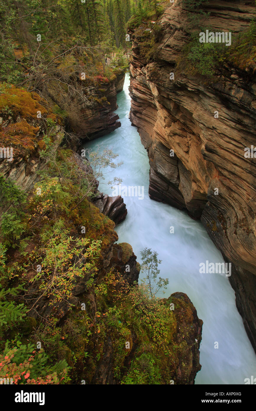 A rocky chasm split open by the water of the Athabasca waters of the ...