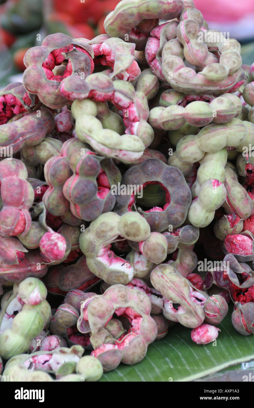 Young tamarind hi-res stock photography and images - Alamy